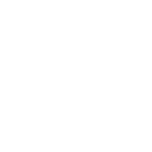 Pumps & Pump Parts – Sego Services